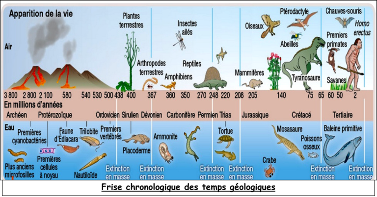 3ème – Les cours de Max